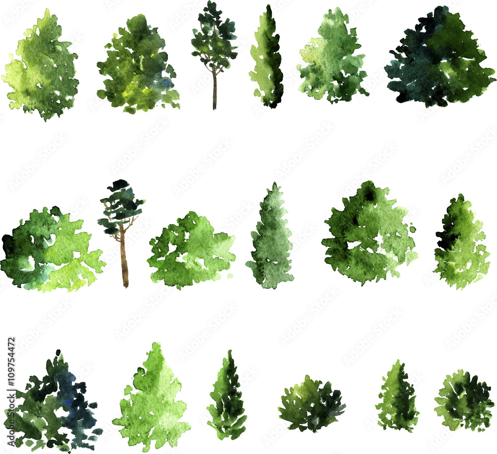 set of trees drawing by watercolor Stock Vector | Adobe Stock
