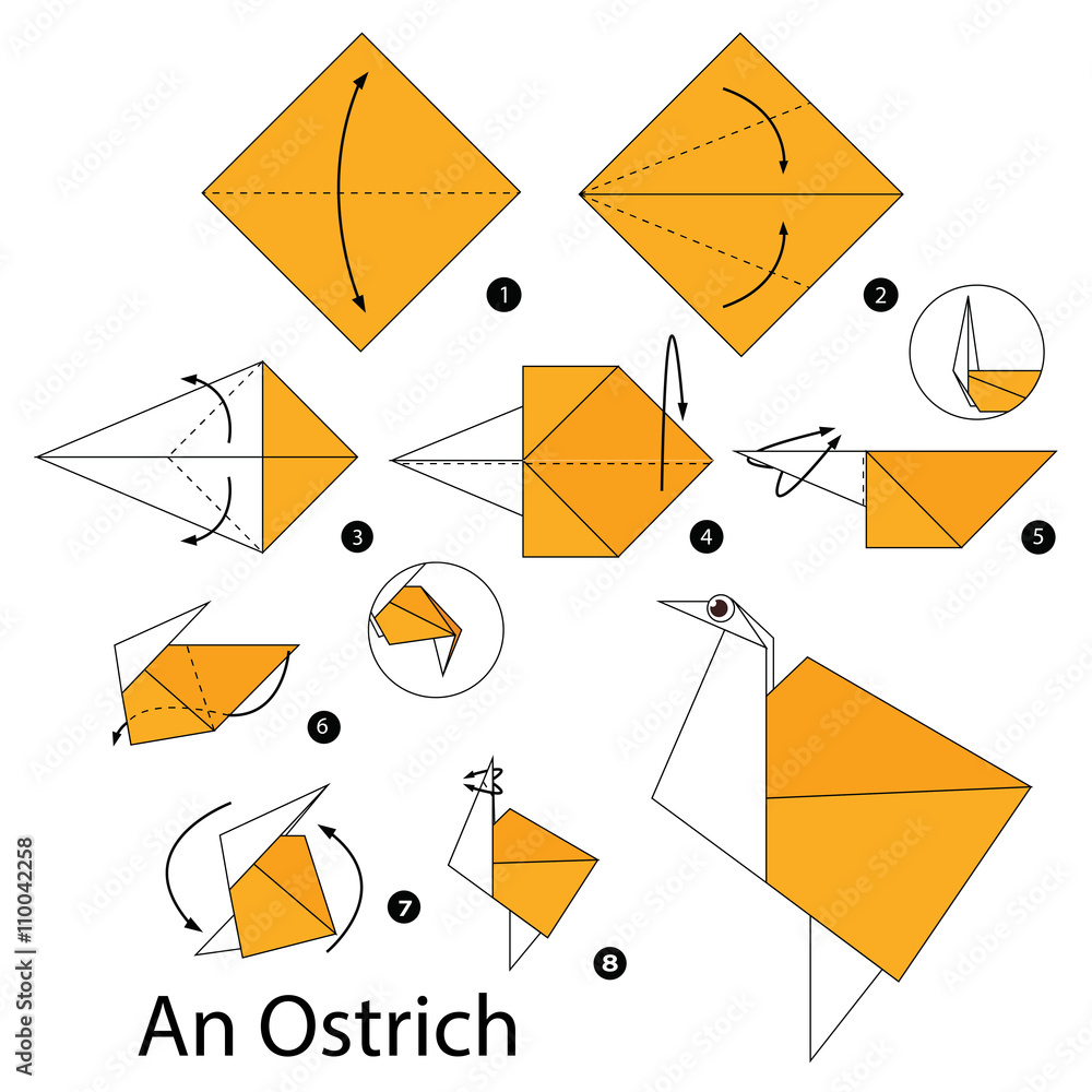 Step by step instructions how to make origami An Ostrich. Stock Vector ...
