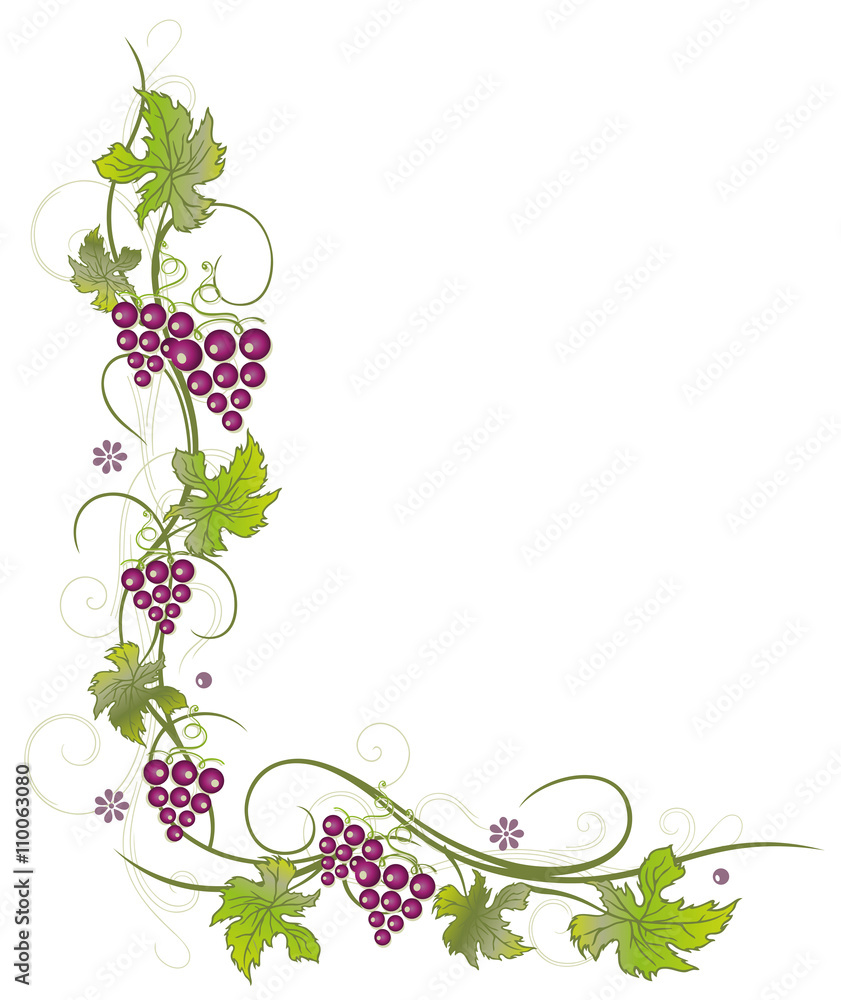 Stock-Vektorgrafik „Weinreben mit Weintrauben und Blättern“ | Adobe Stock