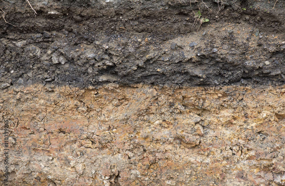 Cross section of underground soil layers. Stock Photo | Adobe Stock