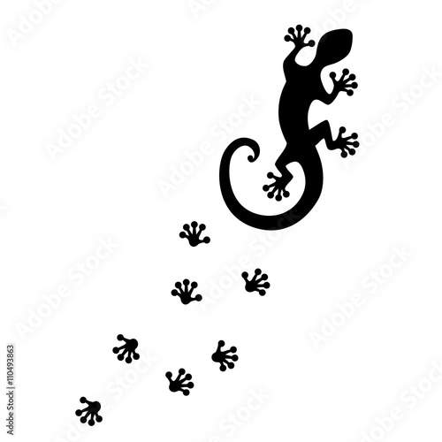 Gecko footprint, silhouette vector Stock Vector | Adobe Stock