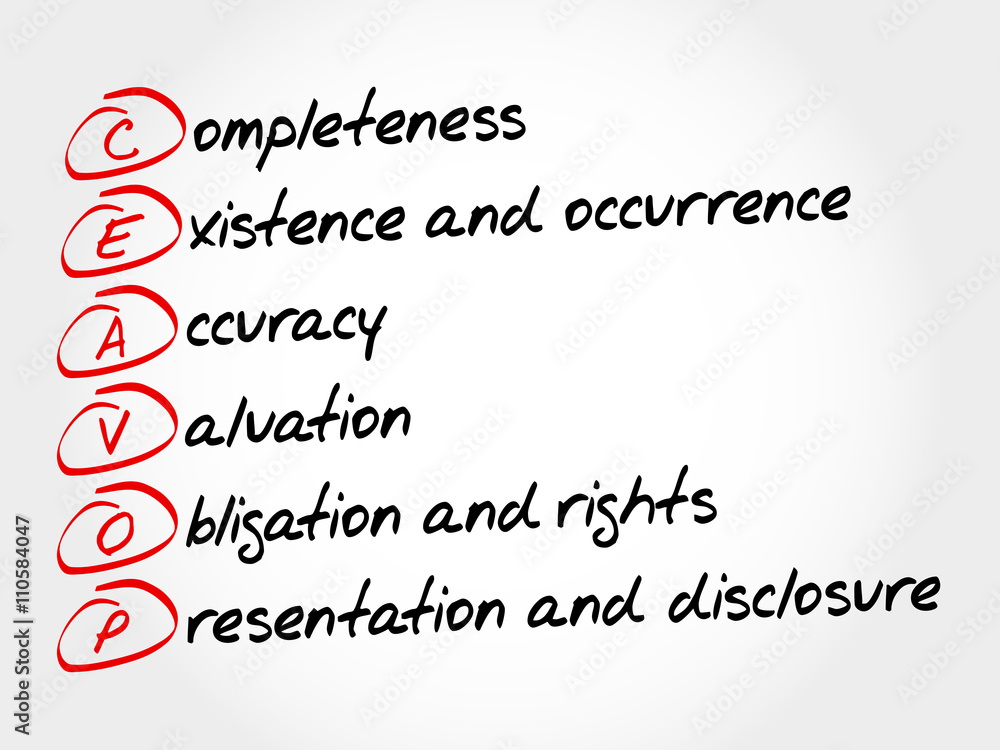 Assertions CEAVOP - completeness existence and occurrence accuracy ...