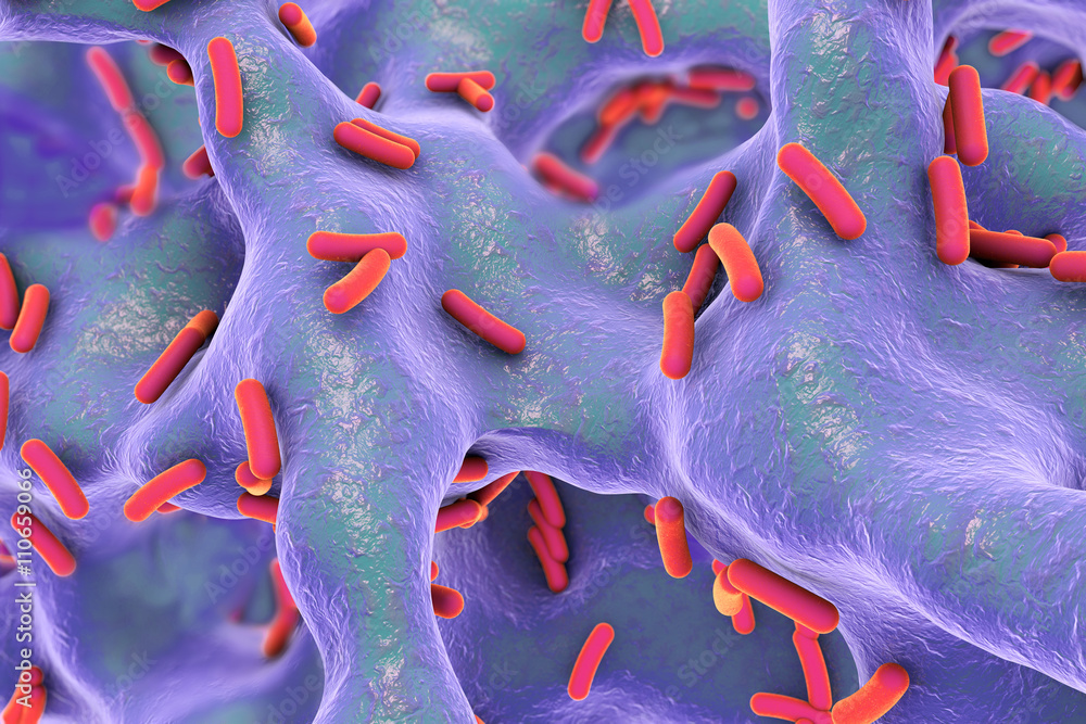 Ilustración de Stock Bacteria inside human body. Rod-shaped bacteria ...