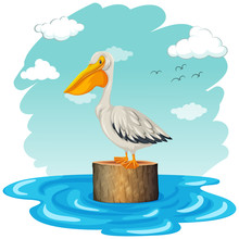 Pelican Standing On Stump Free Stock Photo - Public Domain Pictures
