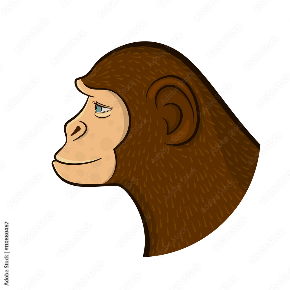 Pencil drawing monkey,vector illustration Stock Vector | Adobe Stock