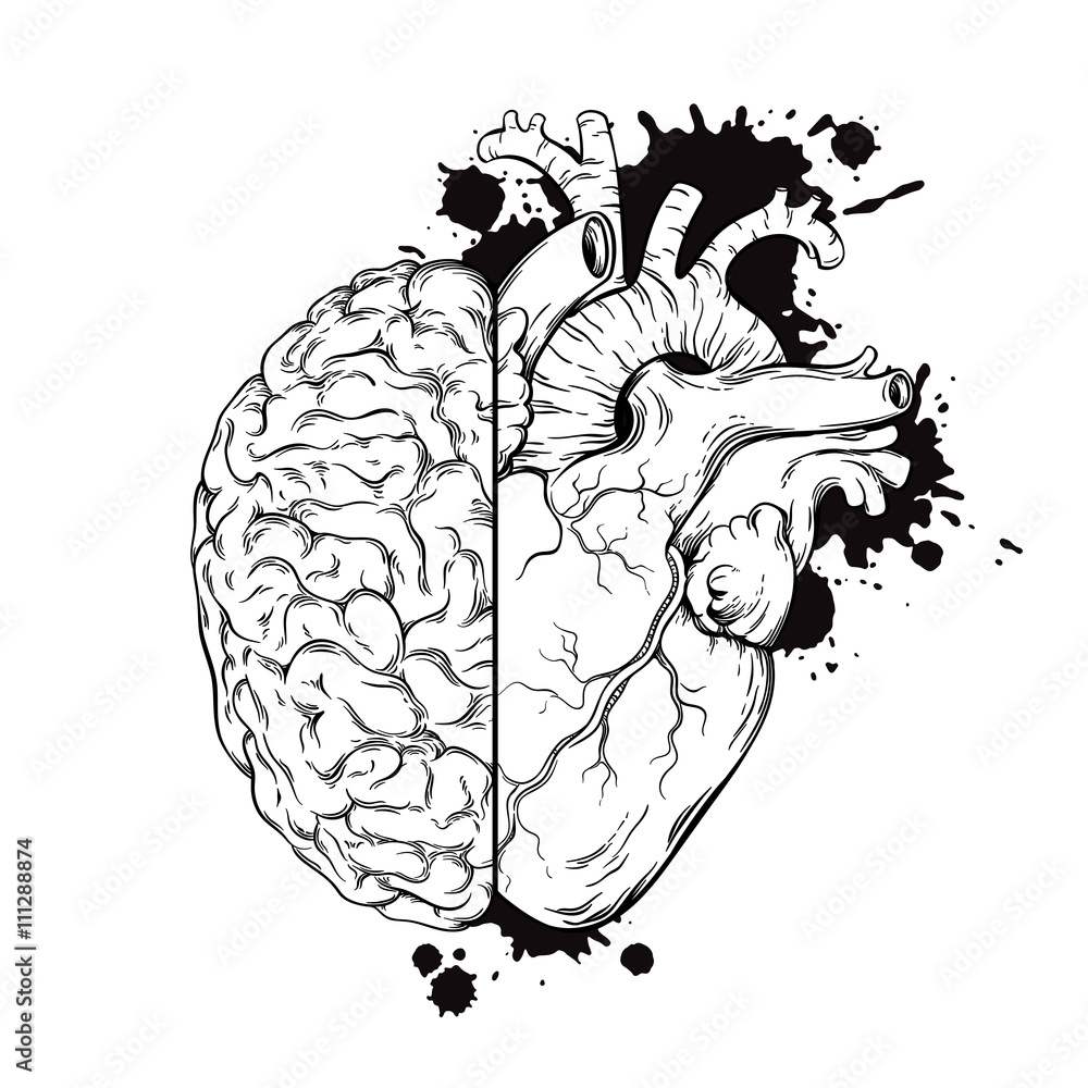 Hand drawn line art human brain and heart halfs. Grunge sketch tattoo ...