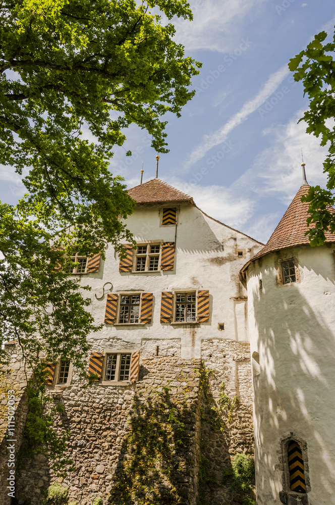 Seengen, Dorf, Schloss, Schloss Hallwyl, Wasserschloss, Burg ...