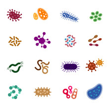 Bacteria Free Stock Photo - Public Domain Pictures