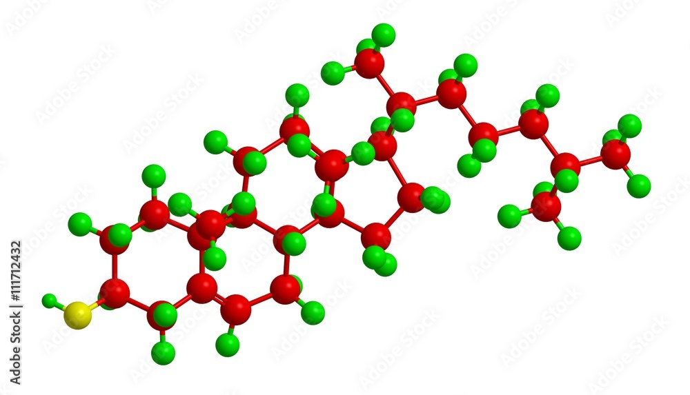 Structure Of Cholesterol