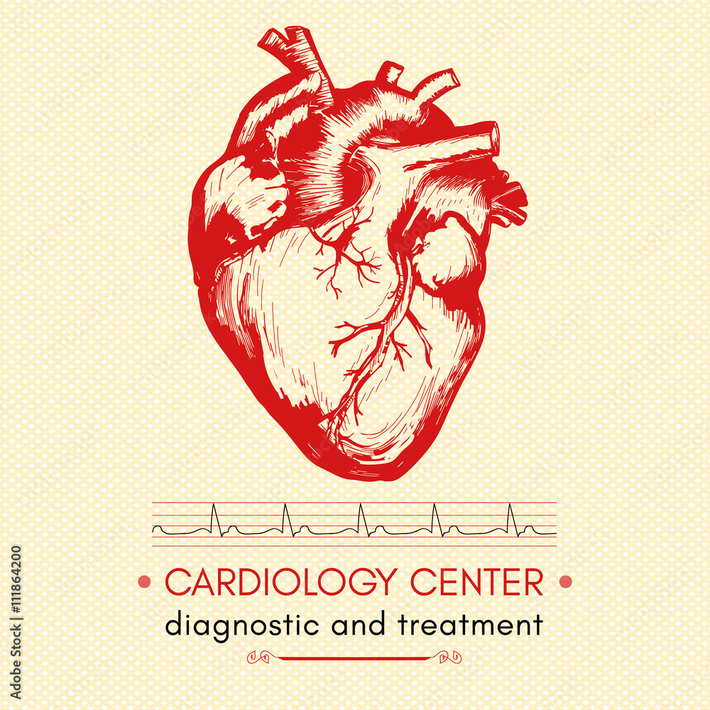 Human heart medical symbol of cardiology logo cardiology center Stock ...