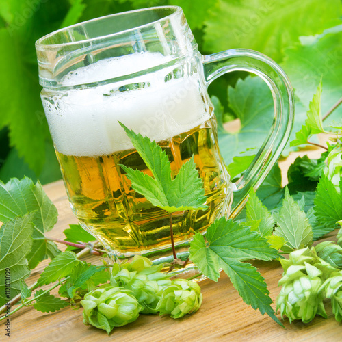 Bier und Hopfen – kaufen Sie dieses Foto und finden Sie ähnliche Bilder ...
