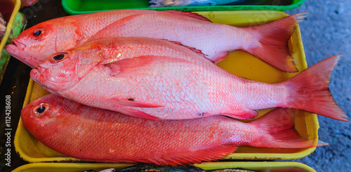 Fresh 'Maya-Maya' - Philippine red snapper – Stock-Foto | Adobe Stock