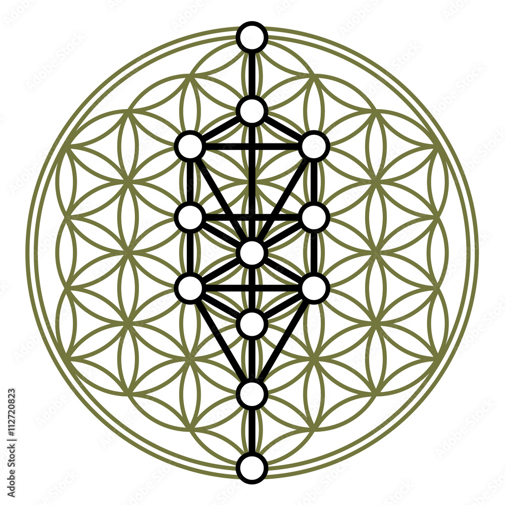 Flower of life, 12 Sephirot, Tree of life, Kabbalah Stock Vector ...