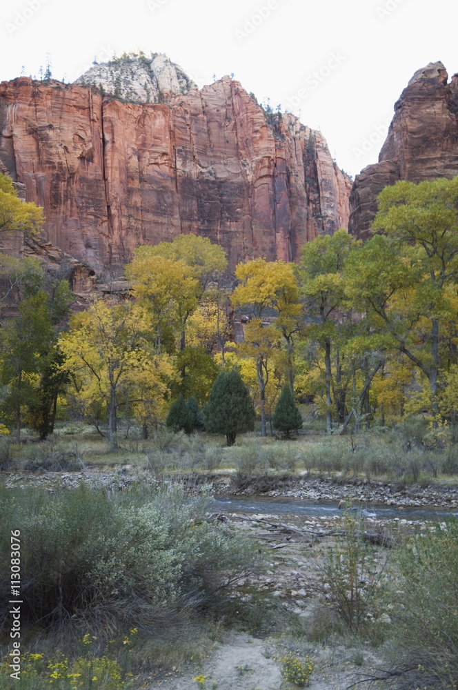 Zion National Park, Utah Stock Photo | Adobe Stock