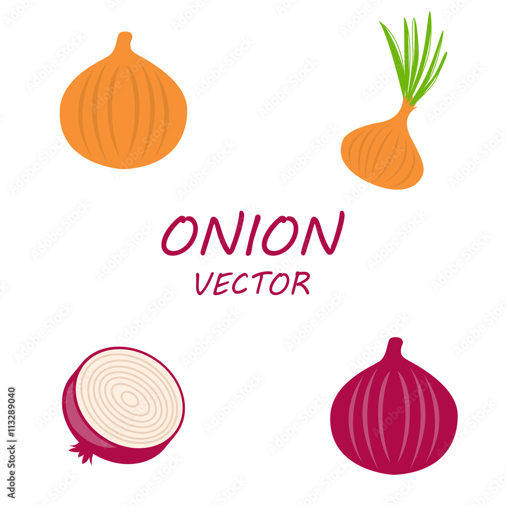Vector Onion icons set Stock Vector | Adobe Stock
