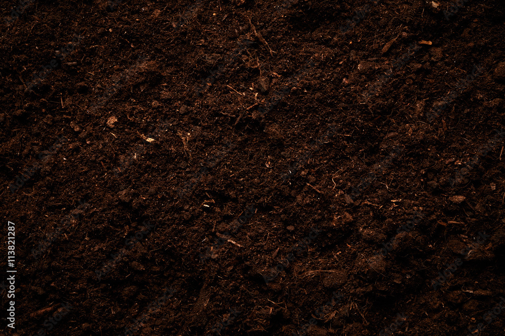 Soil texture Stock Photo | Adobe Stock