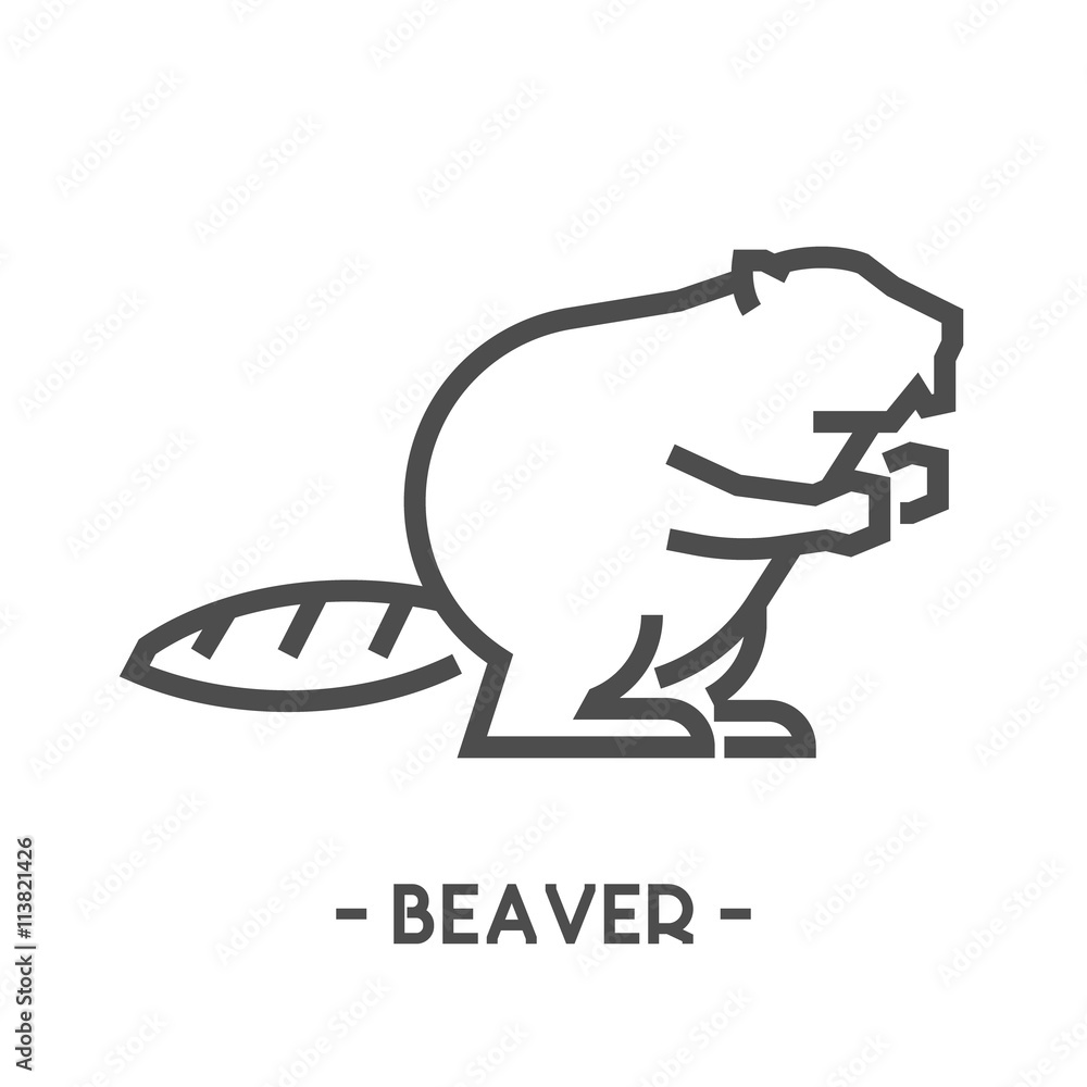 Vector outline figure of beaver Stock Vector | Adobe Stock