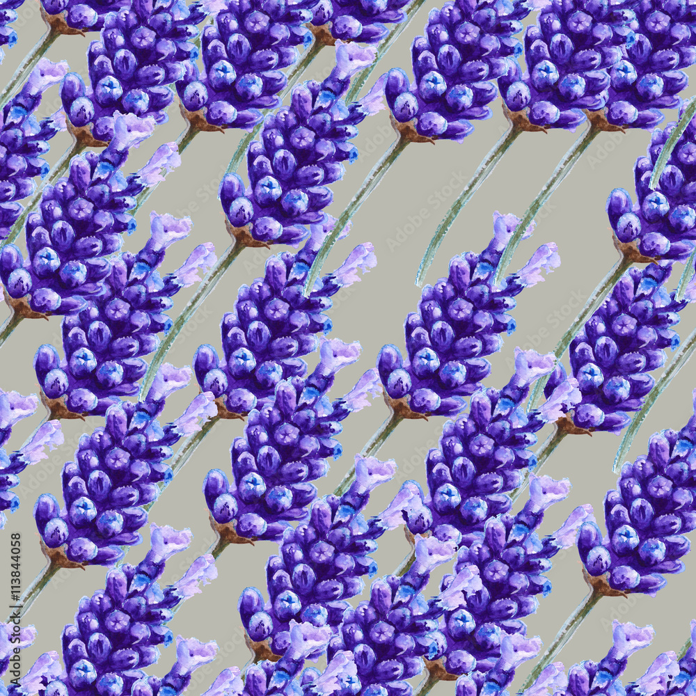 background lavender flowers. seamless pattern. watercolor illust Stock ...