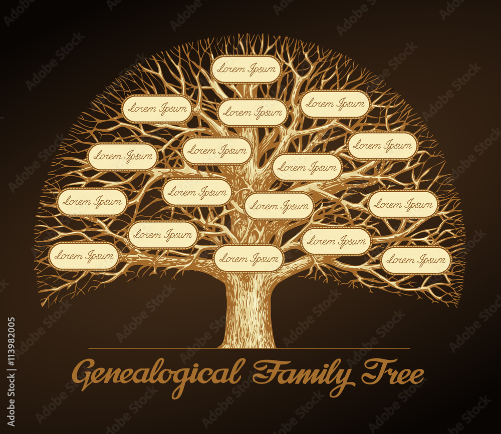Genealogical family tree. Dynasty. Vector illustration Stock Vector ...
