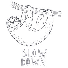 Sloth Drawing Free Stock Photo - Public Domain Pictures