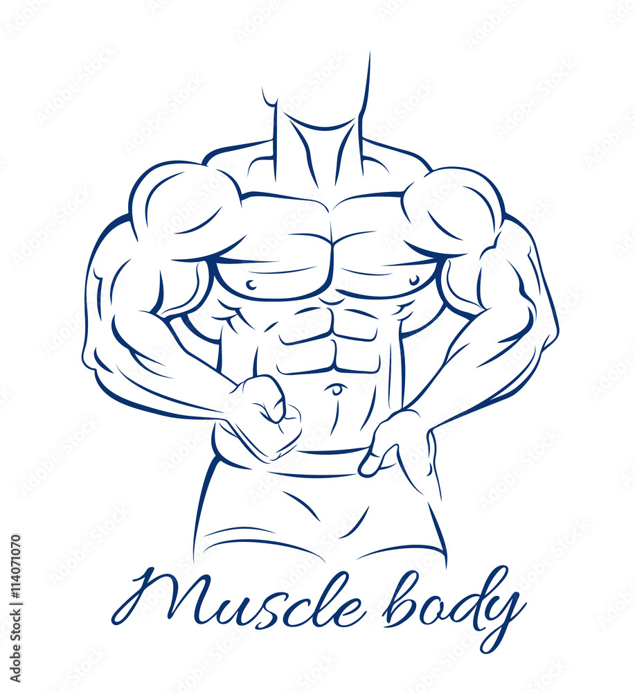 bodybuilder fitness model muscle body line drawing on white background ...