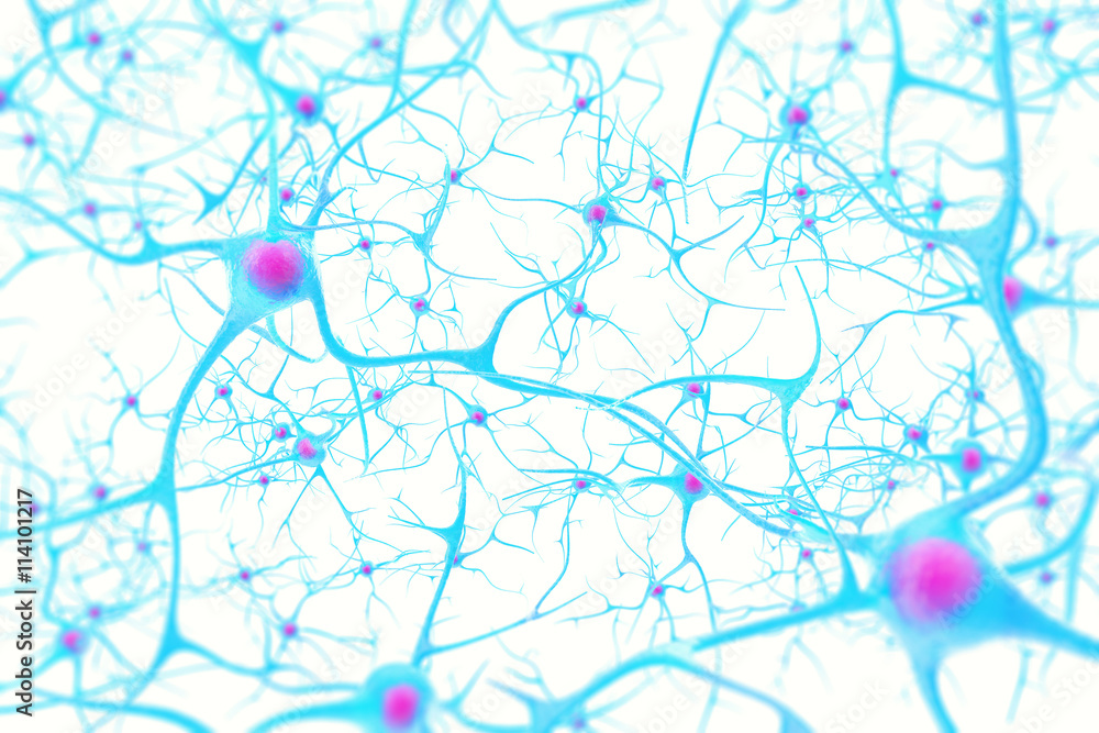 Neurons in the brain on white background with focus effect. 3d ...