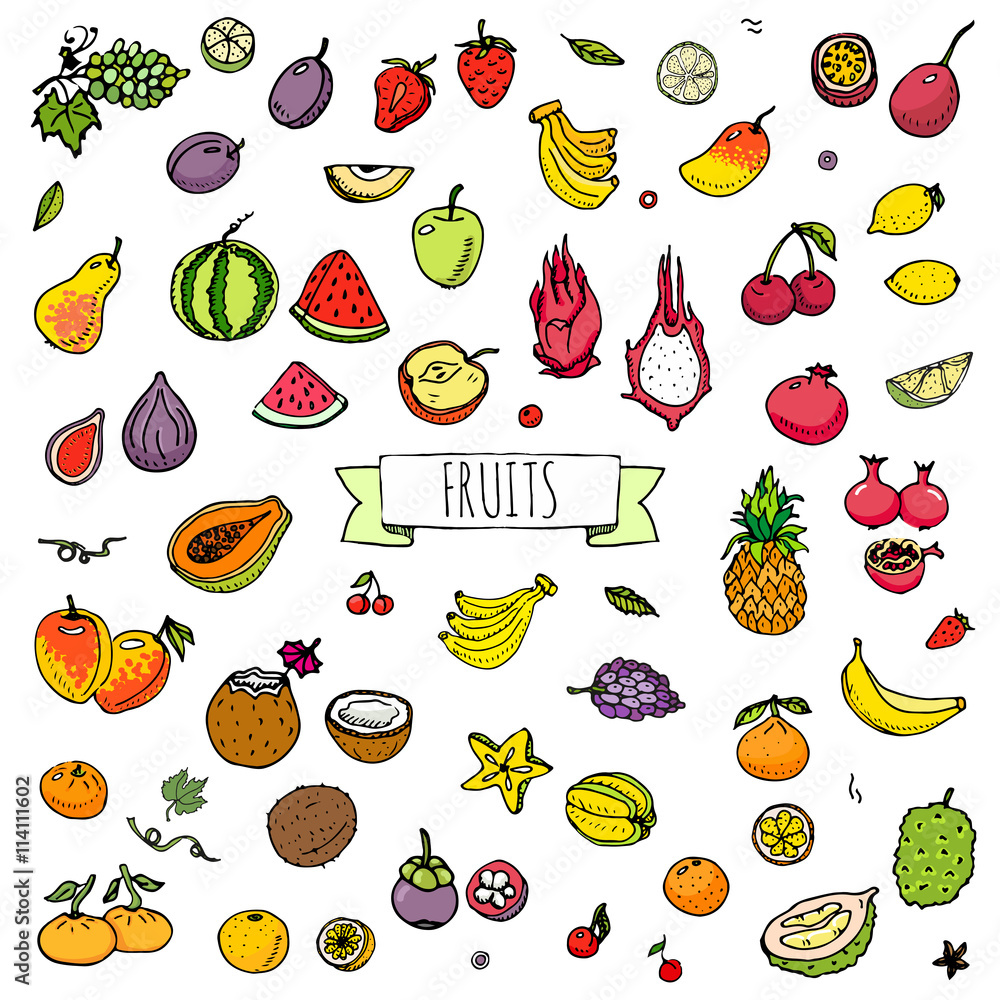 Hand drawn doodle fruits icons set Vector illustration seasonal fruits ...