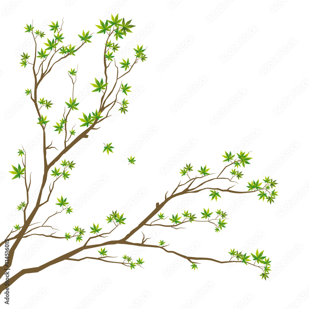 maple tree treetop icon Stock Vector | Adobe Stock