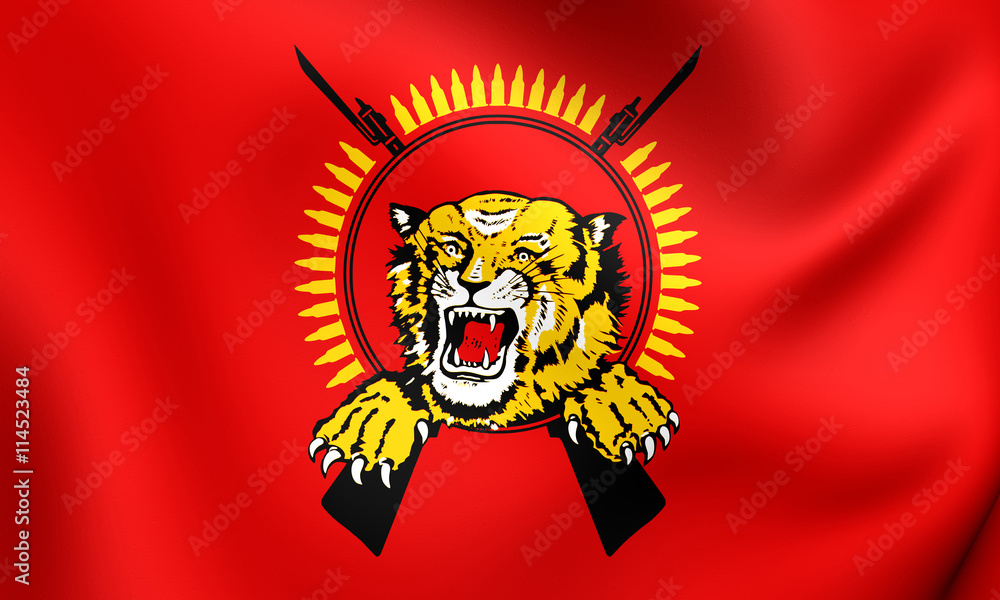 Flag of Tamil Eelam Stock Illustration | Adobe Stock