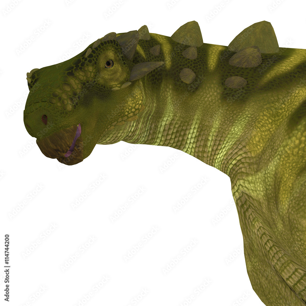 Ilustración de Stock Talarurus Dinosaur Head - Talarurus was a ...