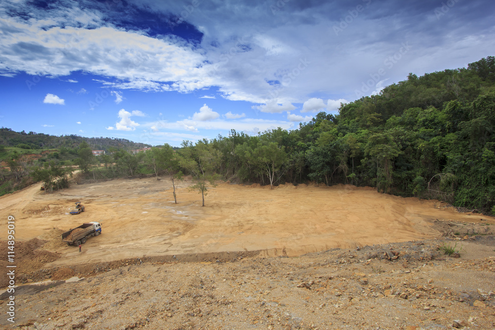 Deforestation: Excavators destroy rainforest to make way for oil palm ...