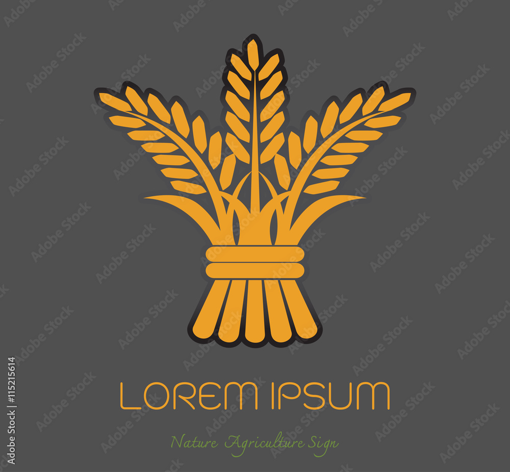 Vector de Stock rice logo, agriculture farm logo, gold rice concept ...