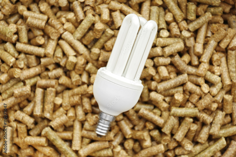 Bulb on solid wooden pellets background Stock Photo | Adobe Stock