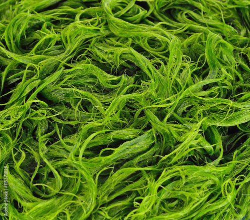 Freshwater algae (Spirogyra sp.) ready is used to make food Stock Photo ...
