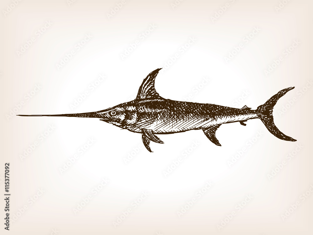 Swordfish hand drawn sketch vector Stock Vector | Adobe Stock