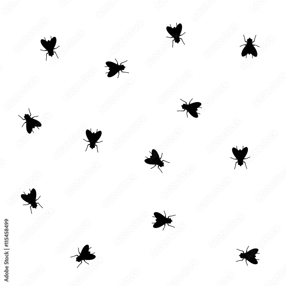 insect pattern 素材庫向量圖 | Adobe Stock