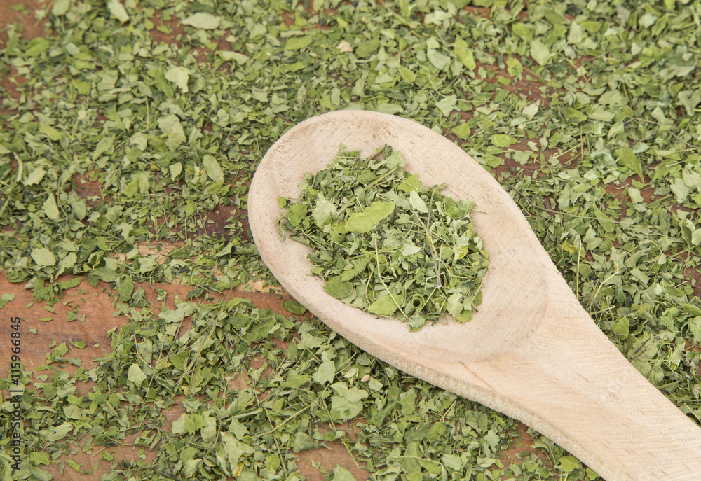 Moringa oleifera is a fast-growing tree native of southern Asia and is ...