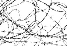 Barbed Wire Background Free Stock Photo - Public Domain Pictures