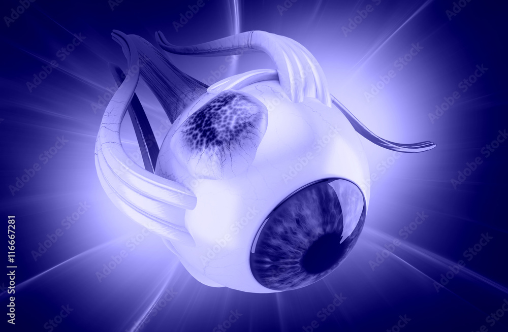 3d illustration of Human eye structure Stock Illustration | Adobe Stock