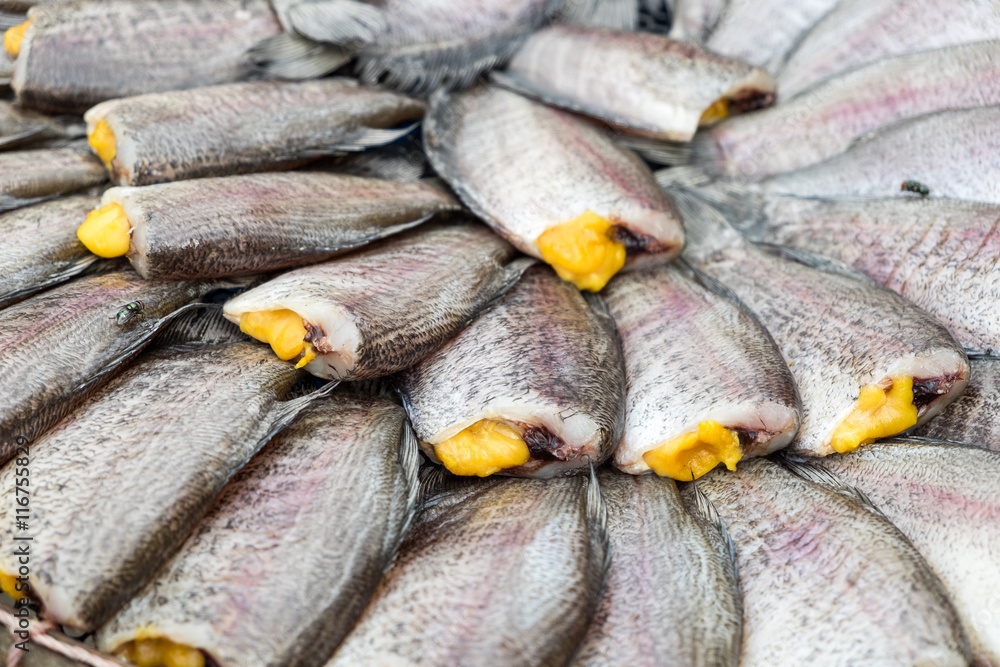 Photo Stock Snakeskin Gourami Fish,Pla Salit fish,Trichogaster ...