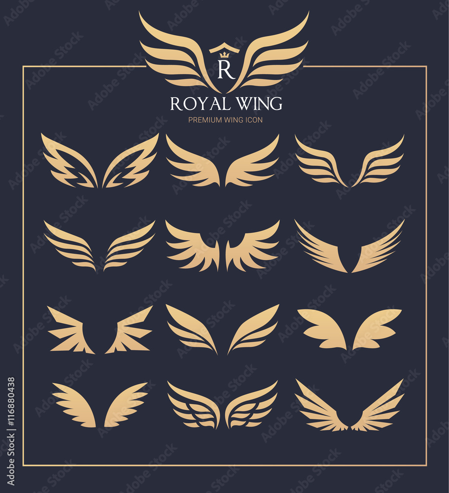 Wings. Vector Set of wing design elements. Vector illustration. Design ...
