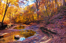 Creek Through Autumn Leaves Free Stock Photo - Public Domain Pictures