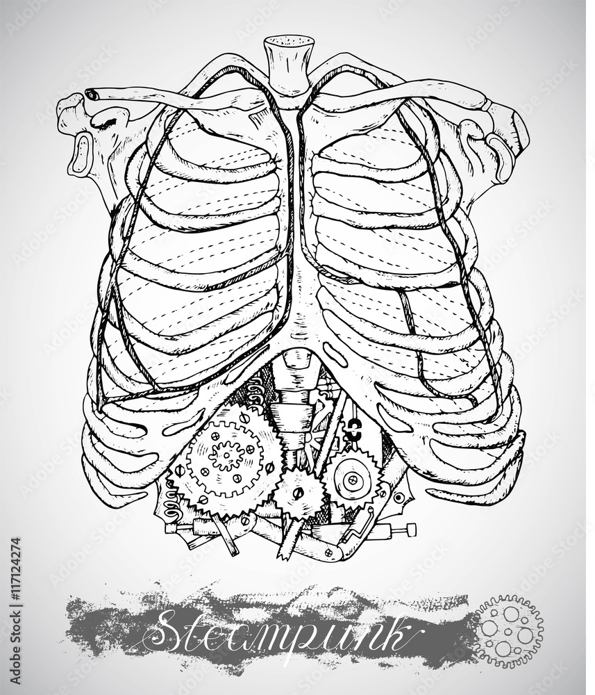 Human anatomy chest with vintage mechanism in steampunk style Stock ...