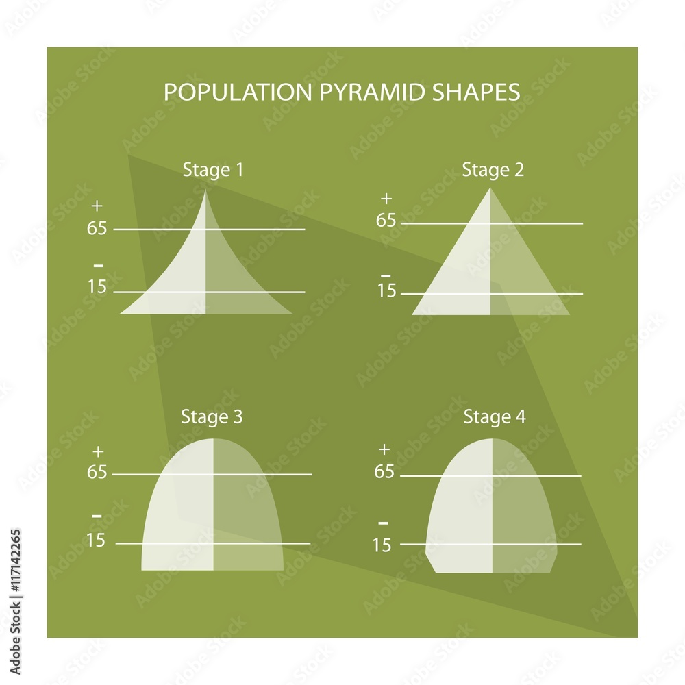The Four Stage of Population Pyramids Charts Stock Vector | Adobe Stock