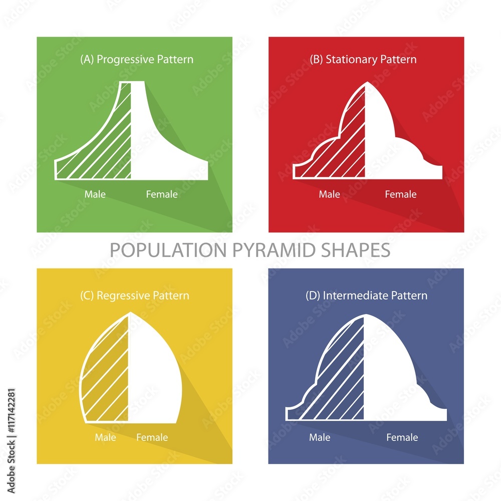 The 4 Types of Population Pyramids Graphs Stock Vector | Adobe Stock