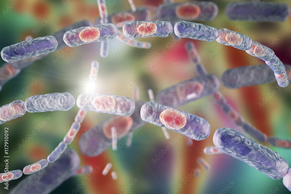 Bacillus anthracis, gram-positive spore forming bacteria which cause ...