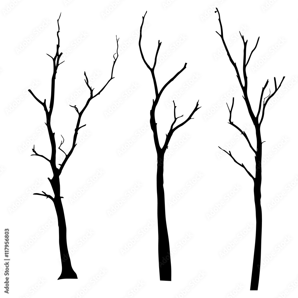 vector black silhouette of a bare tree Stock Vector | Adobe Stock