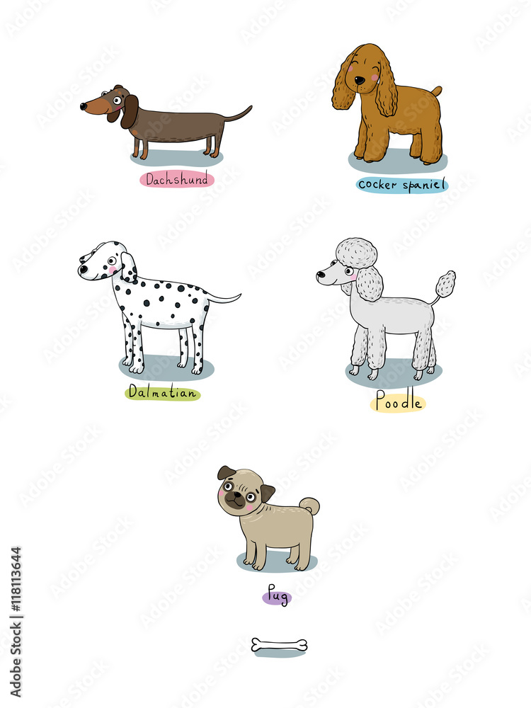 cute cartoon dogs of various breeds . Stock Vector | Adobe Stock