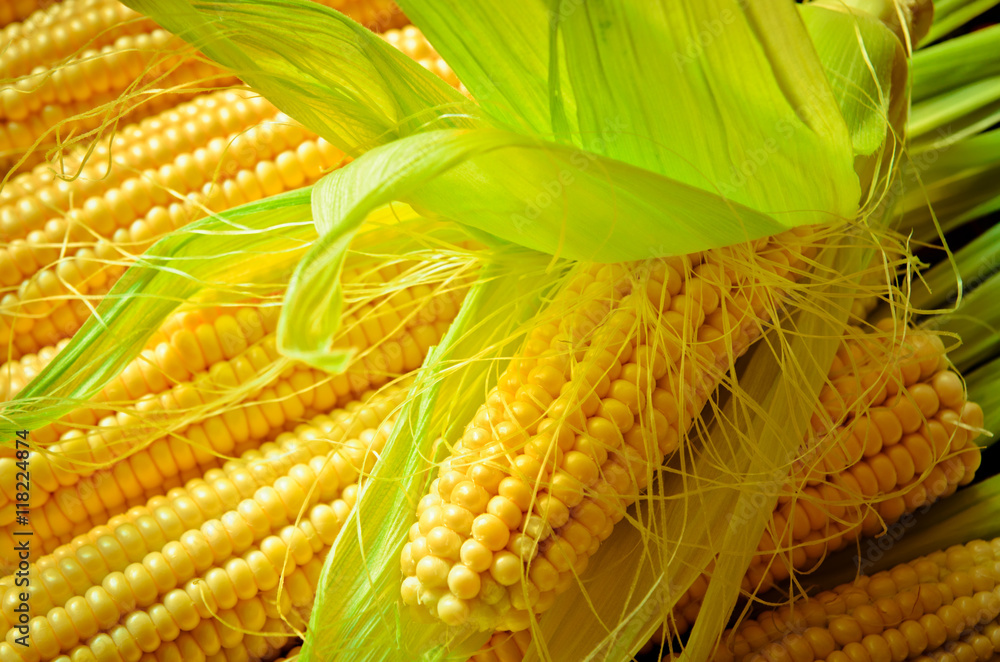 corn background Stock Photo | Adobe Stock