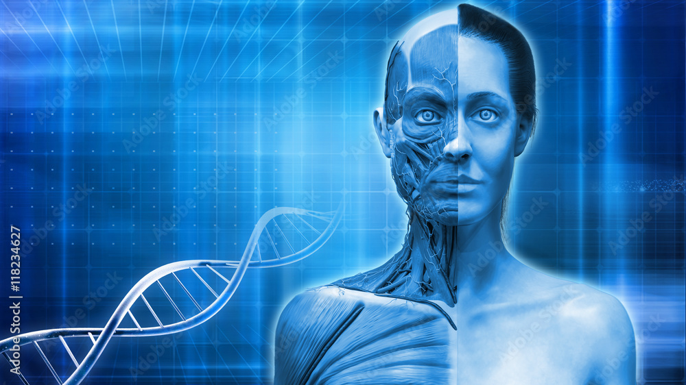 Blue medical background of Human anatomy - muscle anatomy of the face ...